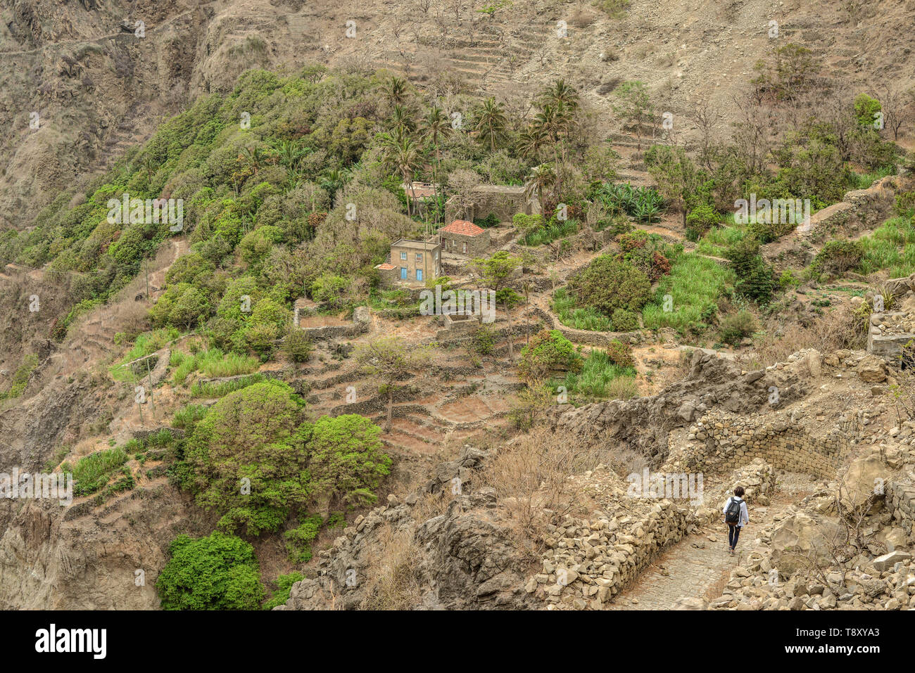 Cape Verde, Cabo Verde archipelago, Brava Island: overview of the arid ...
