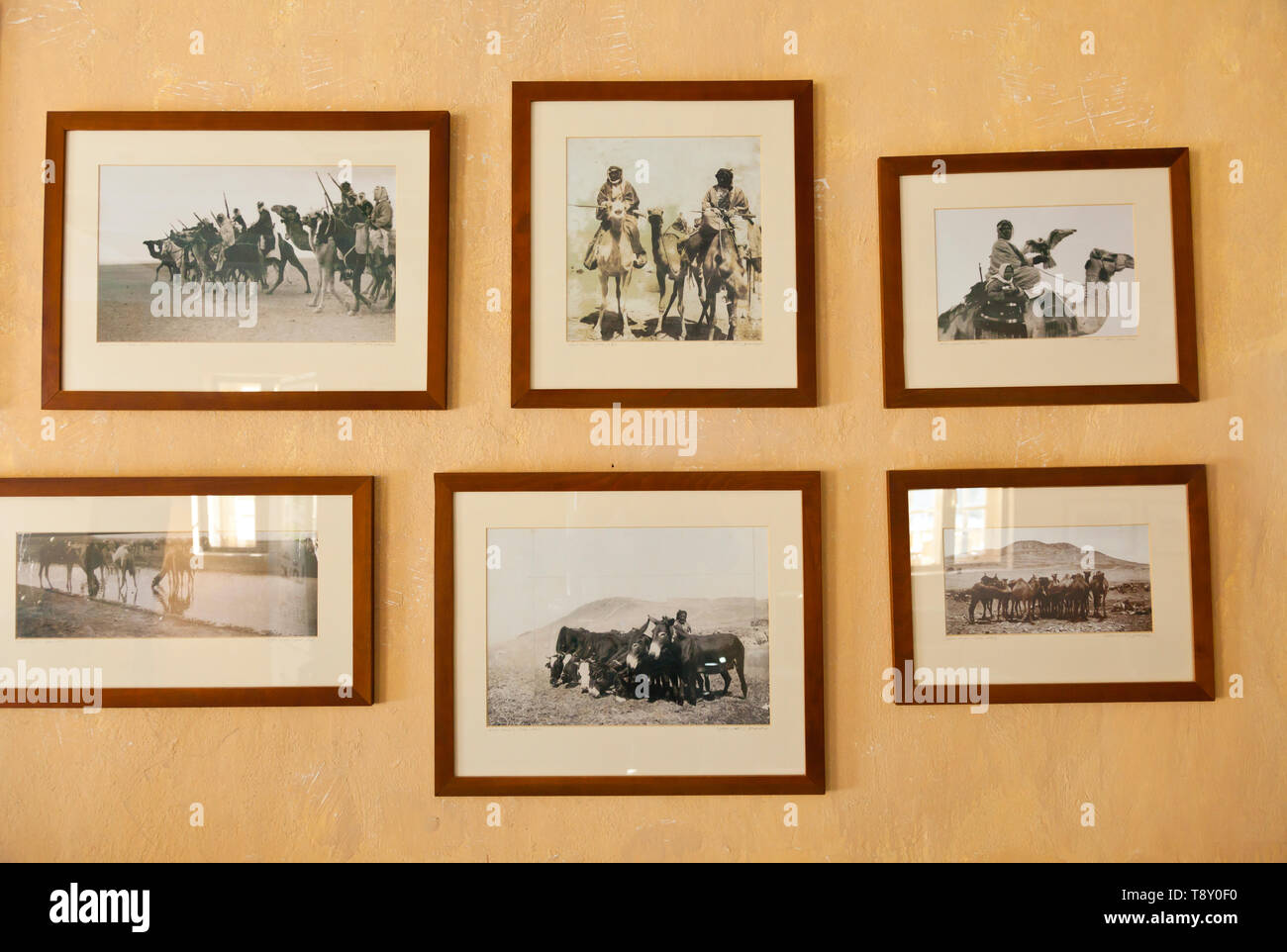 Azraq Lodge. Reserva Natural del Humedal de Azraq. Jordania, Oriente ...