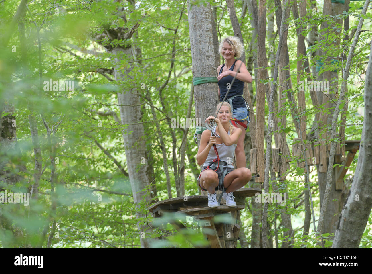 woman on ledge around tree poised to descend zip wire Stock Photo - Alamy