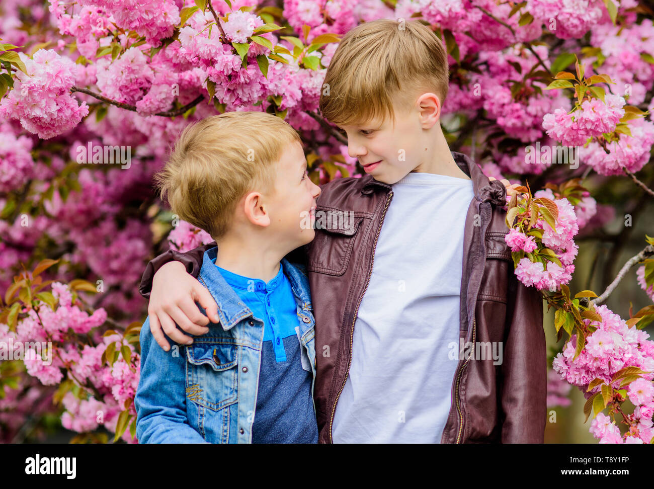 Children enjoy warm spring. Boys posing near sakura. Kids spring pink ...