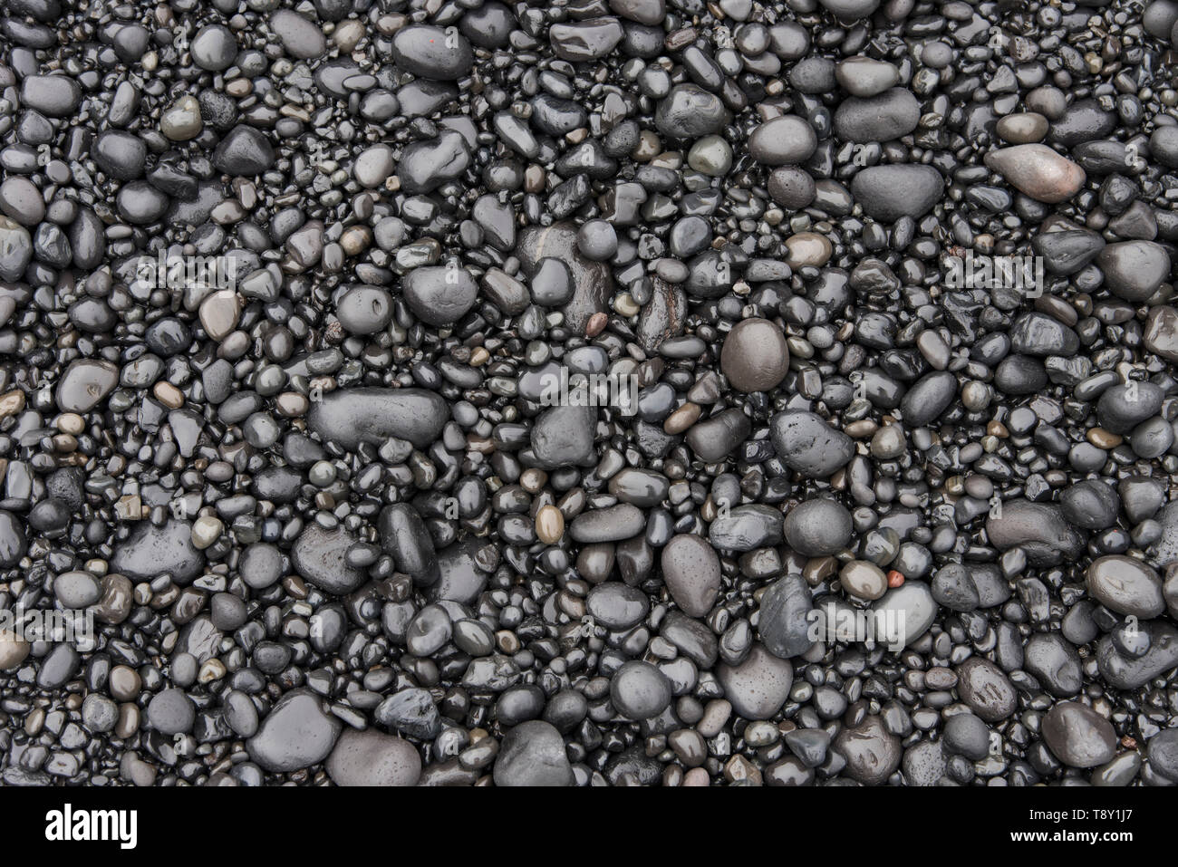 Wet stones texture hi-res stock photography and images - Alamy