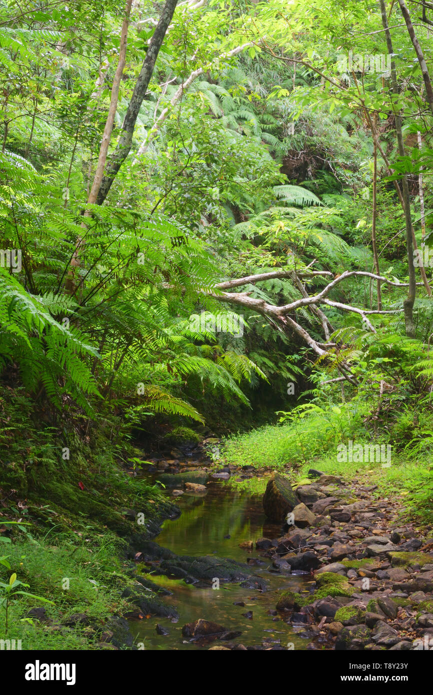 Ryukyu Islands Stock Photos & Ryukyu Islands Stock Images - Alamy