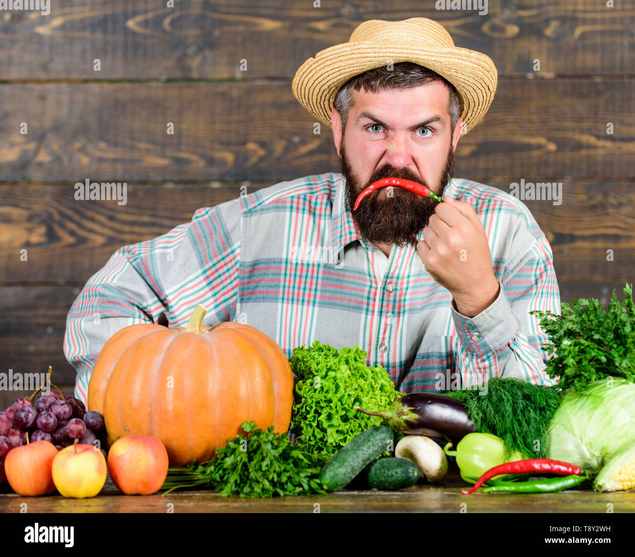 Excellent quality vegetables. Man with beard proud of his harvest ...