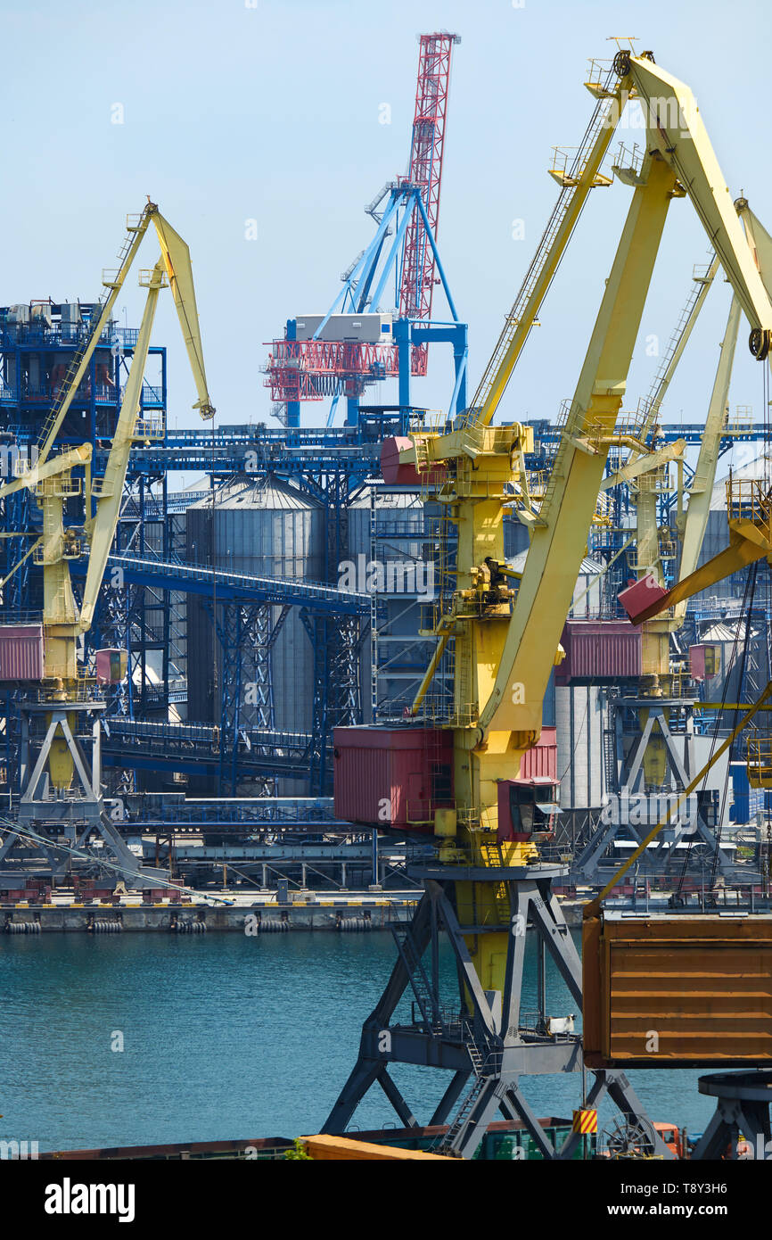 Industrial port, infrastructure of seaport, cranes and dry cargo ships ...