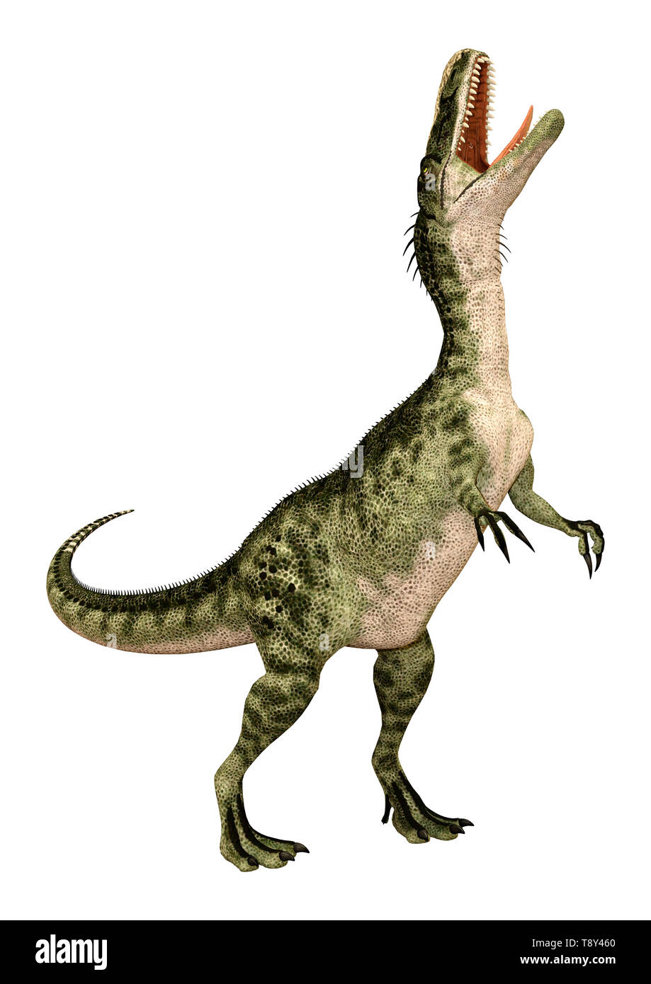 3D rendering of a dinosaur Monolophosaurus isolated on white background ...