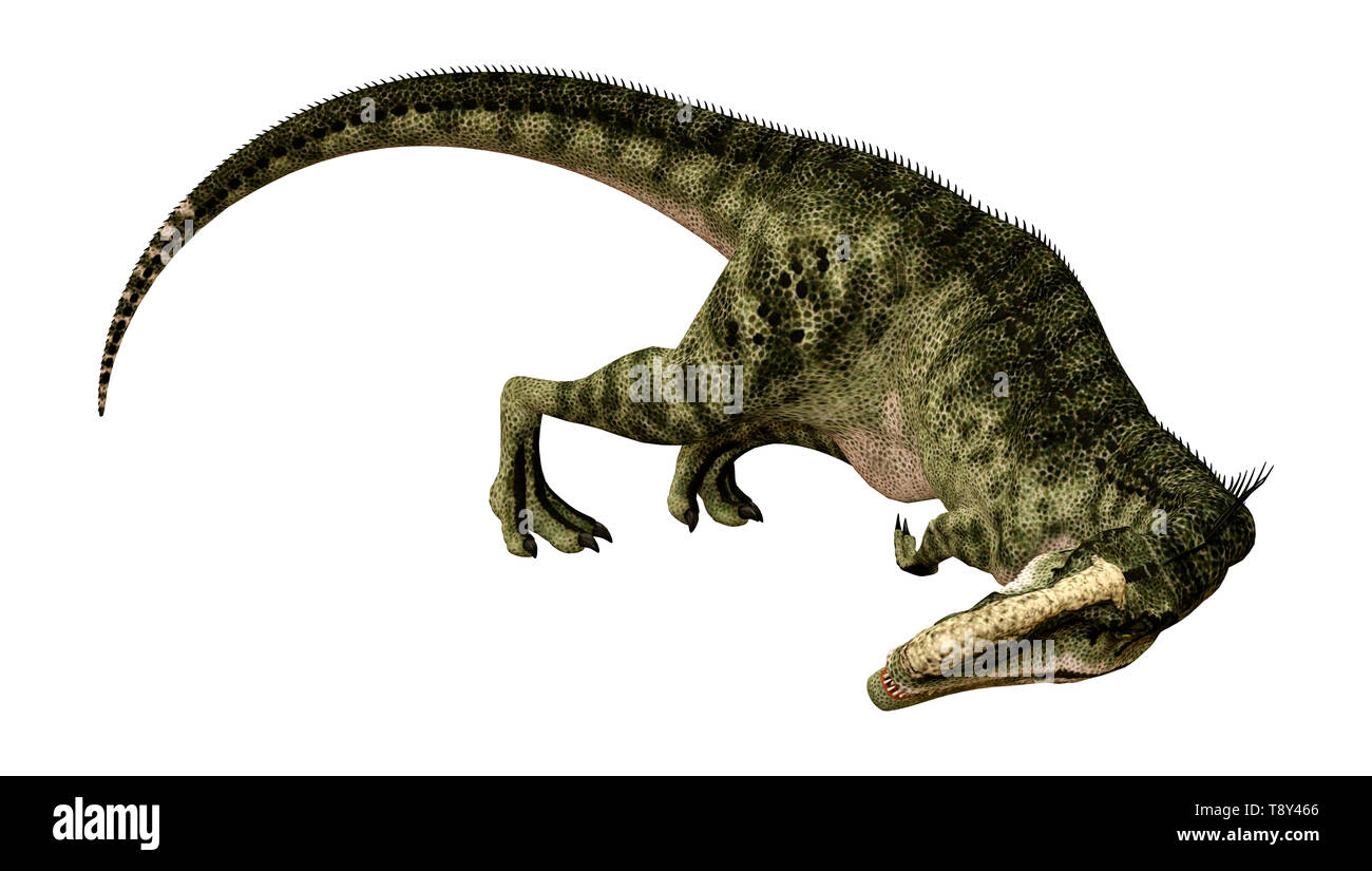 3D rendering of a dinosaur Monolophosaurus isolated on white background ...