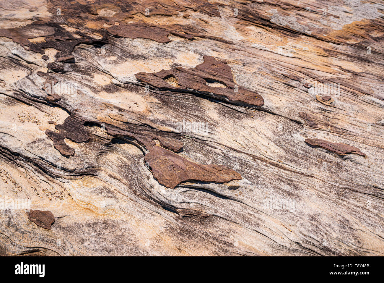Striation texture hi-res stock photography and images - Alamy