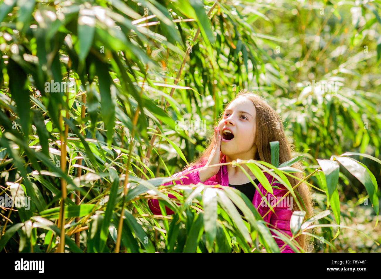 happy child in park. surprised kid in jungle. traveling concept. summer ...