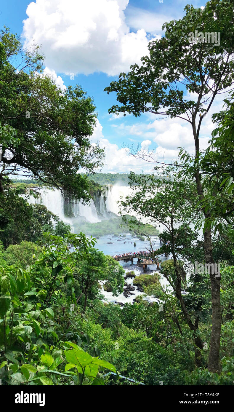 Iguazu Falls are one of the world's famous natural waterfalls, on the ...