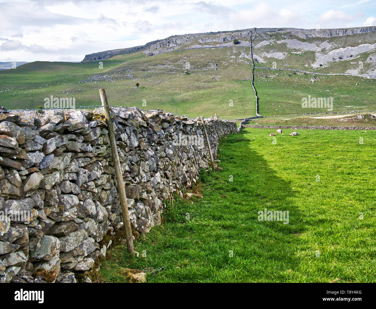 A dry stone wall in the Yorkshire Dales stretching into the distance ...