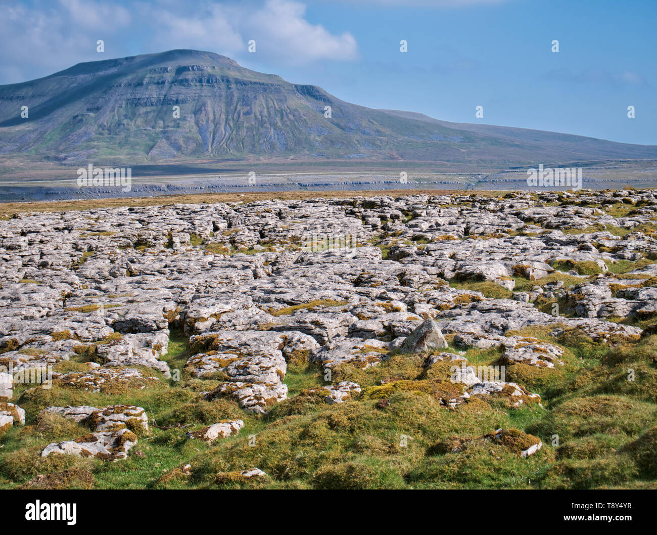 Clints and grikes hi-res stock photography and images - Alamy