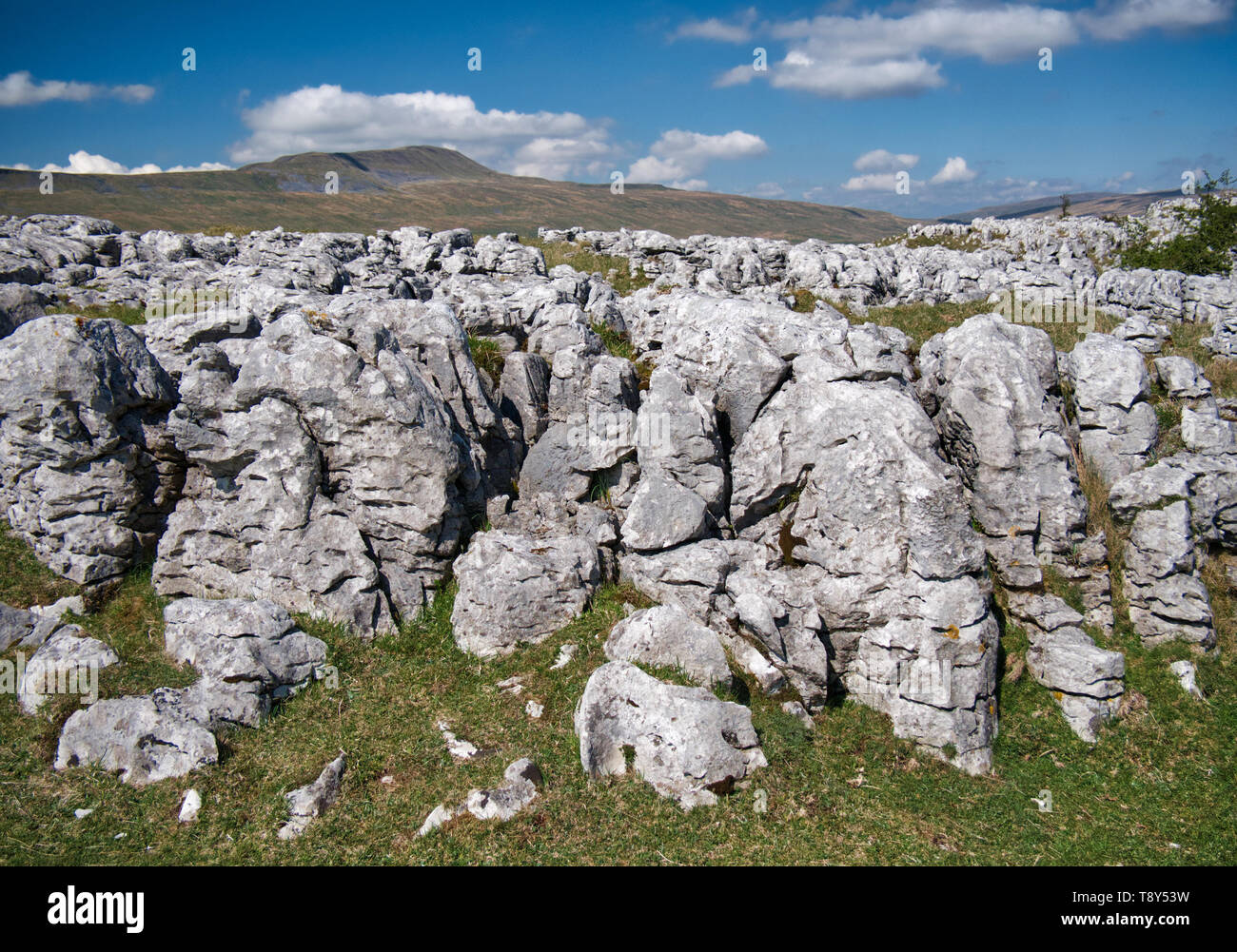 Grikes And Clints High Resolution Stock Photography and Images - Alamy