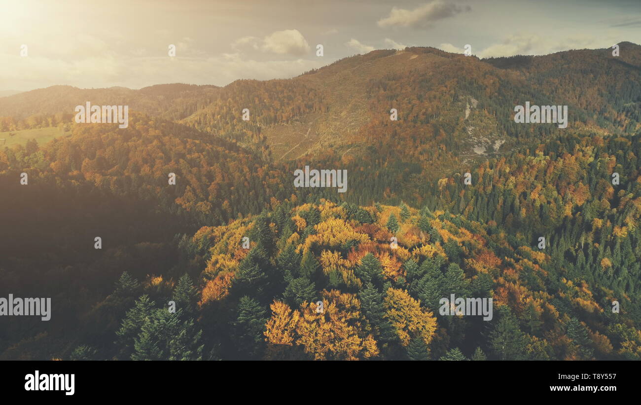 Majestic Mount Nature Forest Scenery Aerial View. Colorful Tree Hill ...