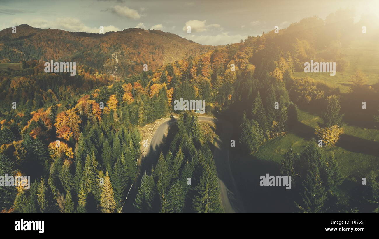 Aerial footage dense pine forest hi-res stock photography and images ...