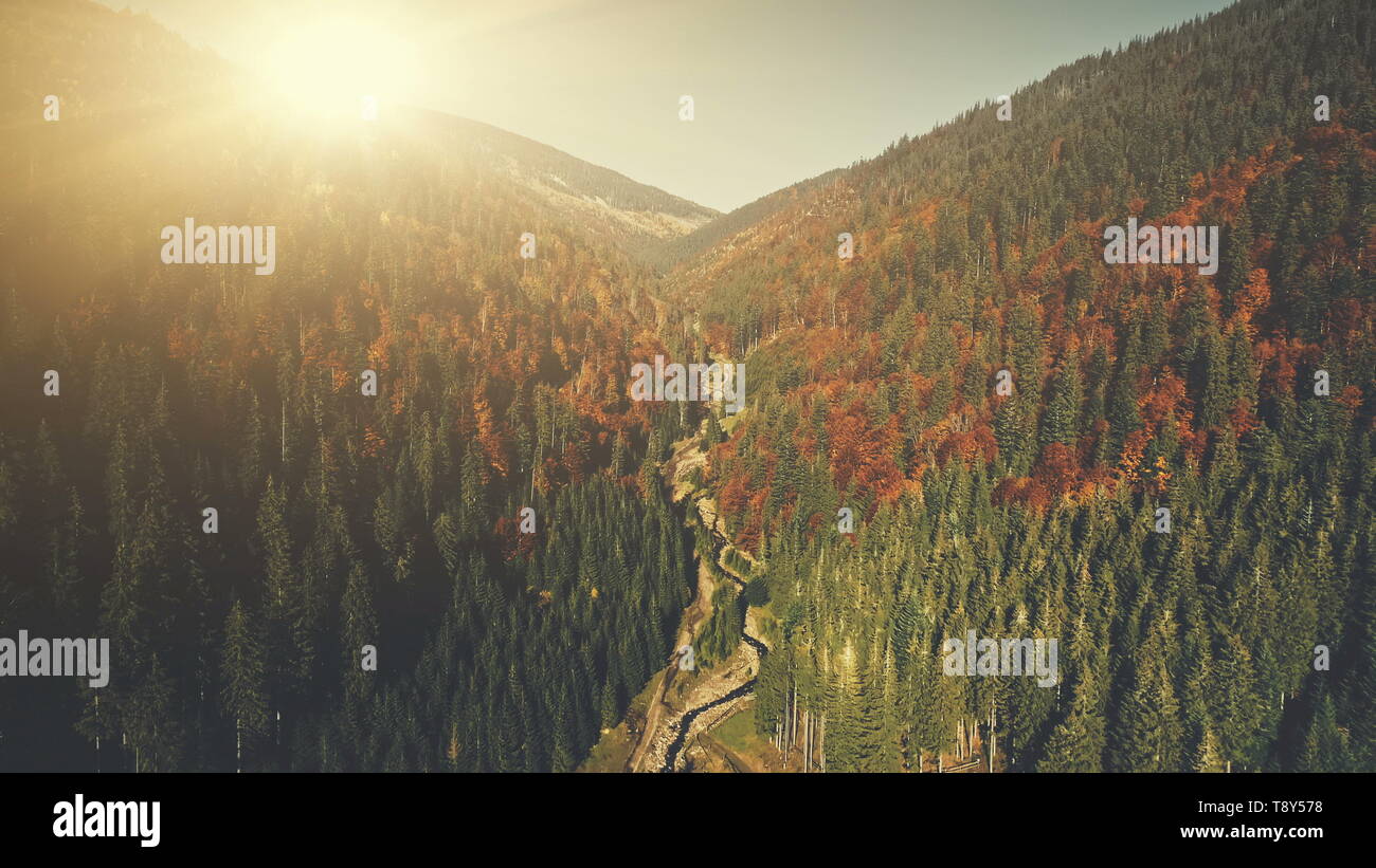 Colorful High Mountain Forest Slope Aerial View. Panoramic Coniferous ...
