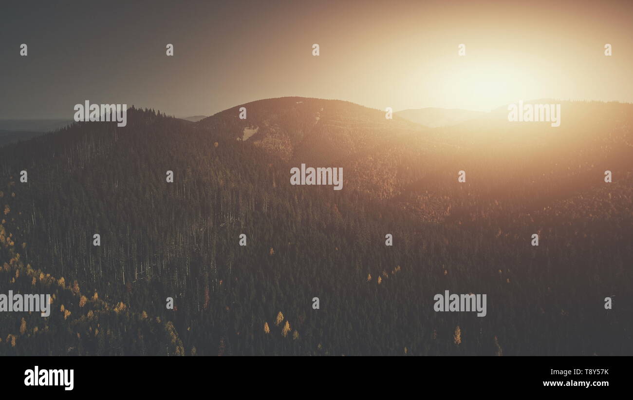 Sun Beam Mountainous Wood Peak Slope Aerial View. Epic Highland Wood ...
