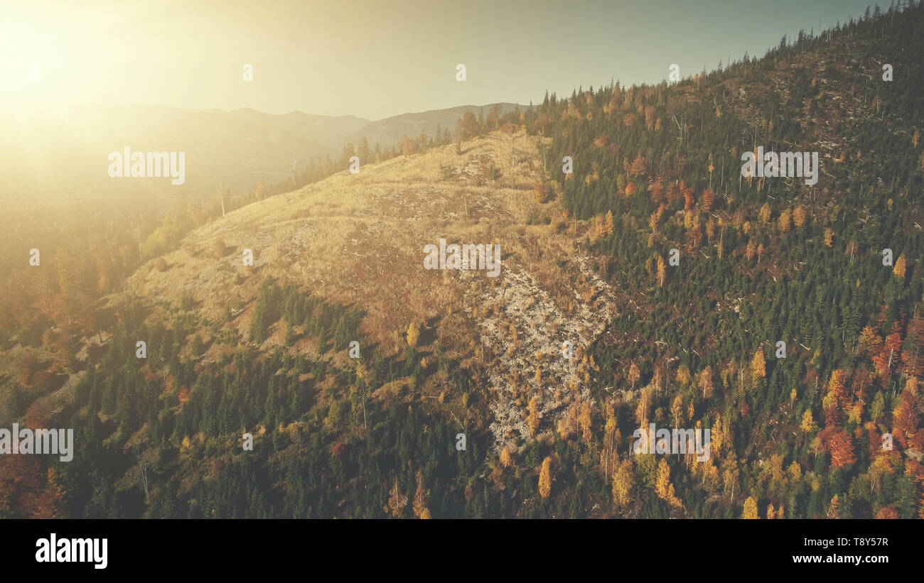 Highland Deforestation Soft Sun Beam Aerial View. Wildlife Mountain ...