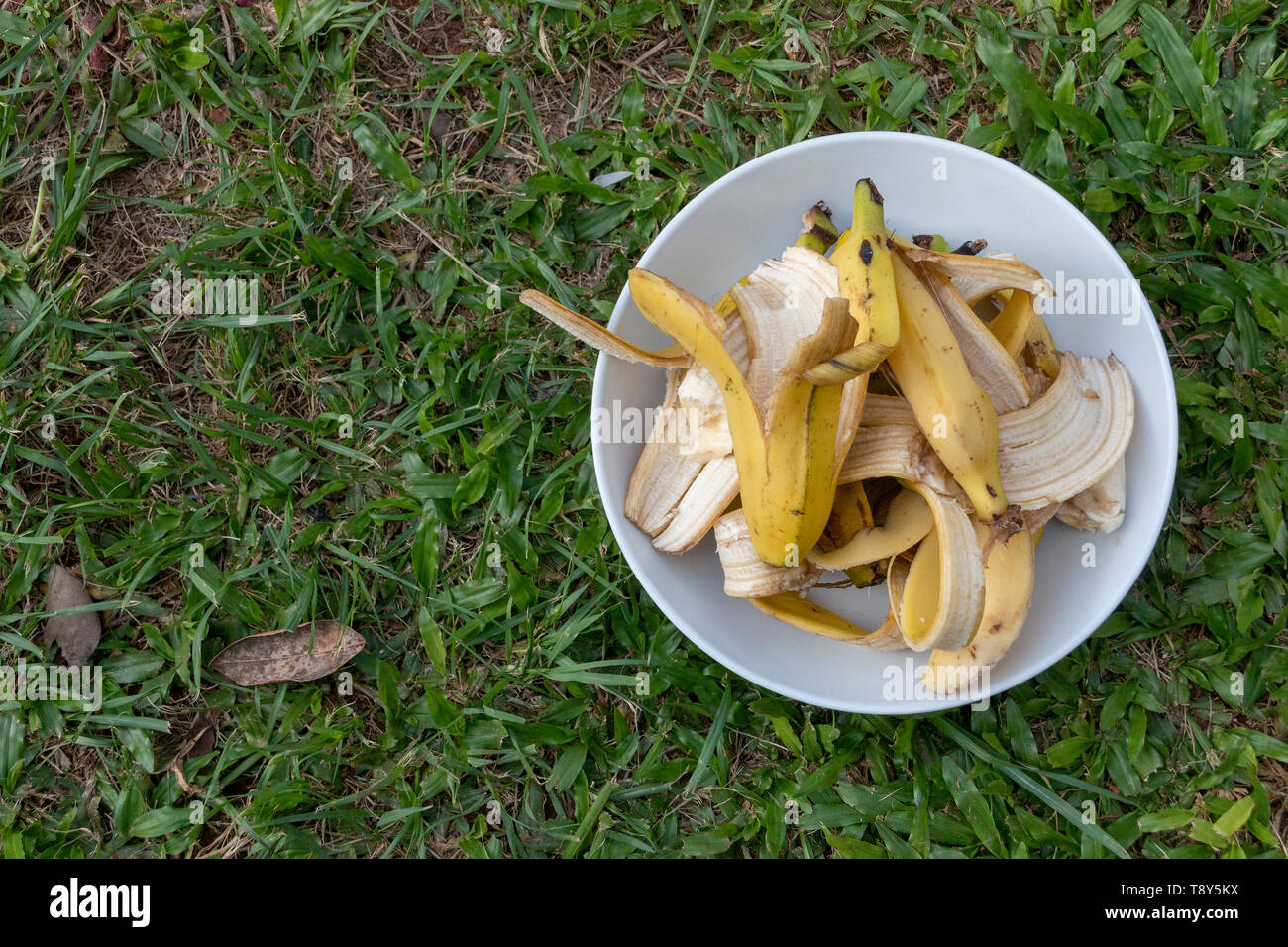 Piled plate hi-res stock photography and images - Alamy