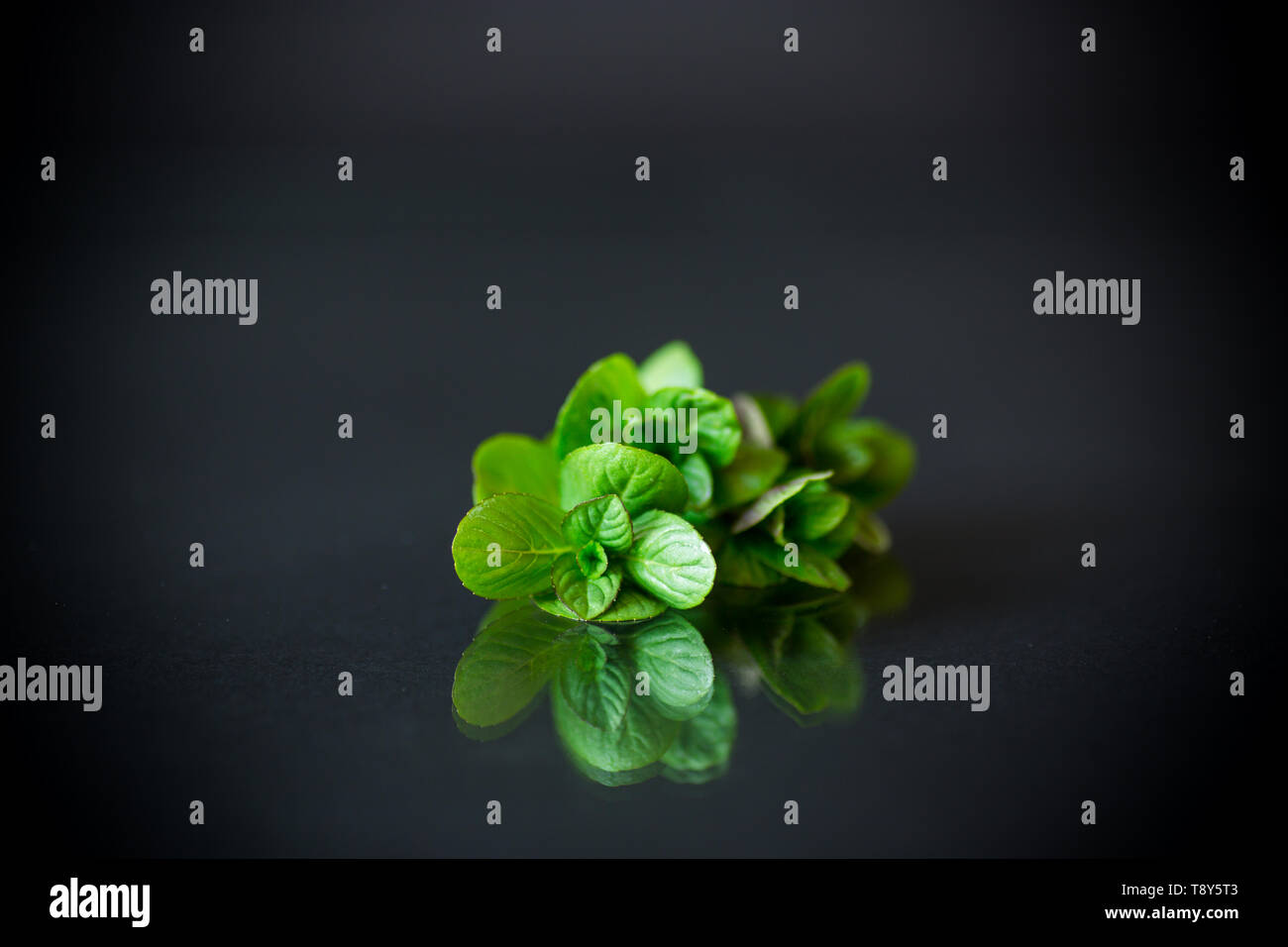 bunch of fresh green mint on black background Stock Photo - Alamy