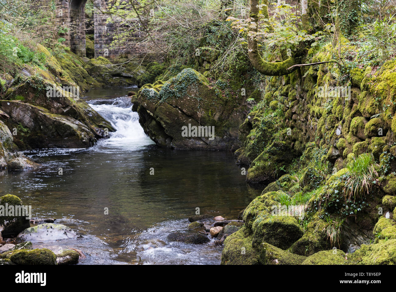 Longtimber woods hi-res stock photography and images - Alamy