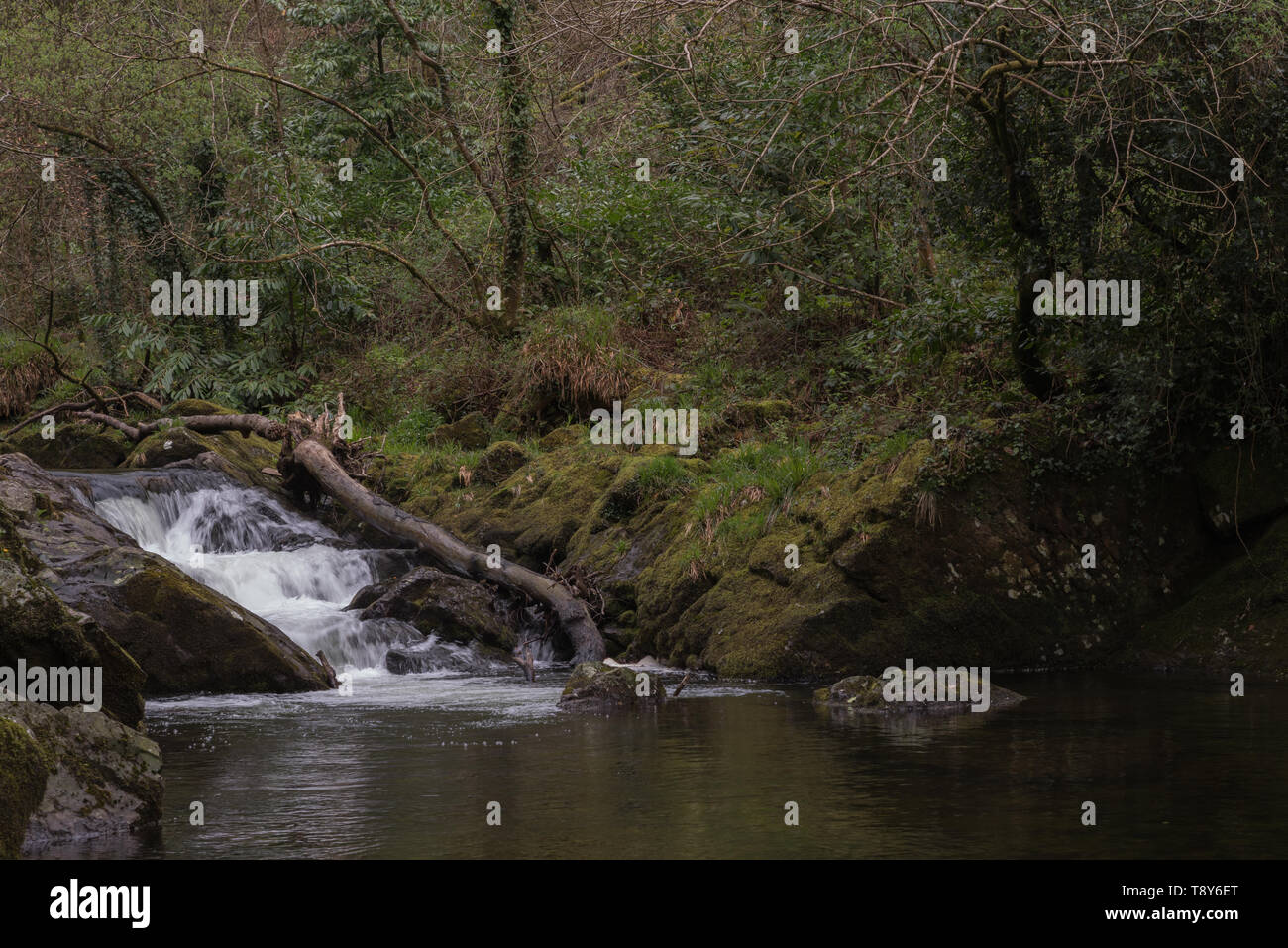 Longtimber hi-res stock photography and images - Alamy