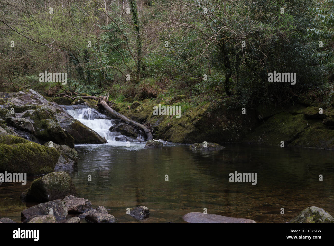 Longtimber High Resolution Stock Photography and Images - Alamy