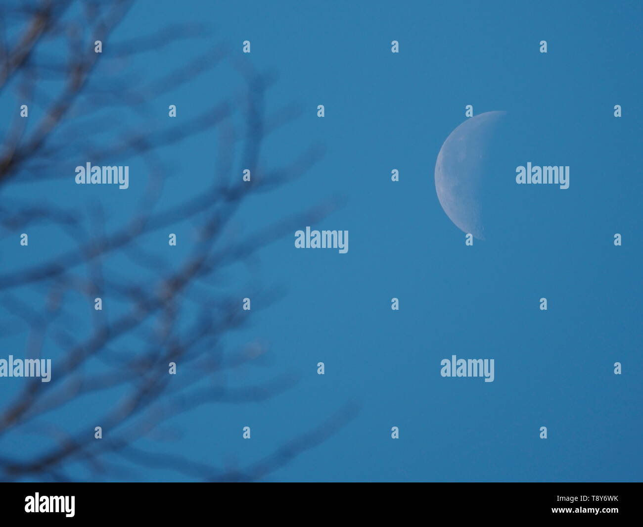 Crescent moon in vibrant blue hi-res stock photography and images - Alamy