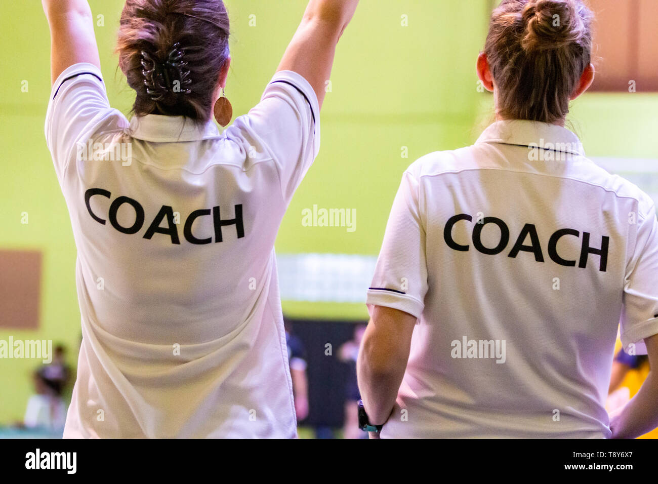 Female coaches in white COACH shirt at an indoor sport game Stock Photo ...