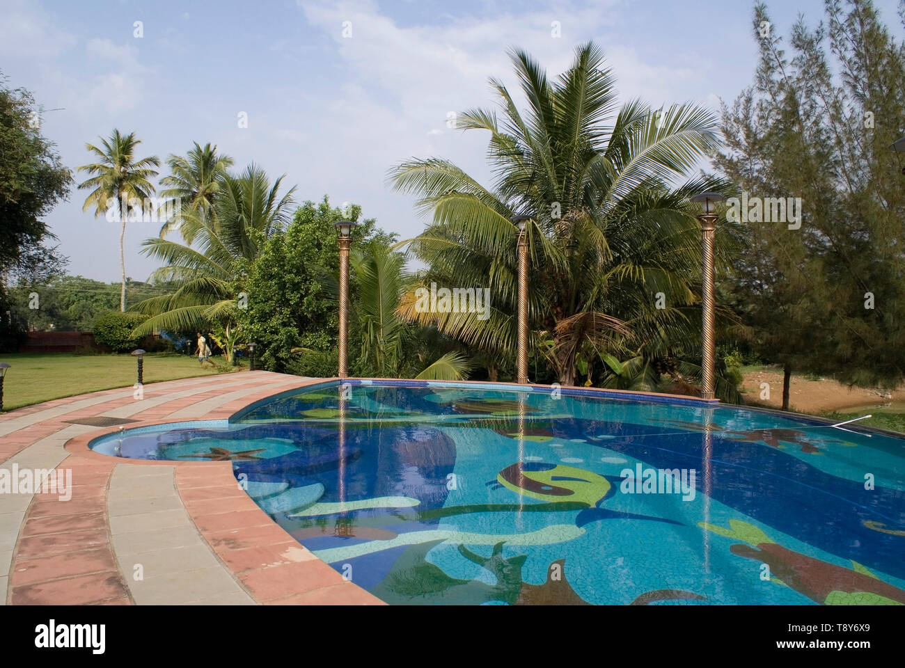 Indian pool mosaic hi-res stock photography and images - Alamy