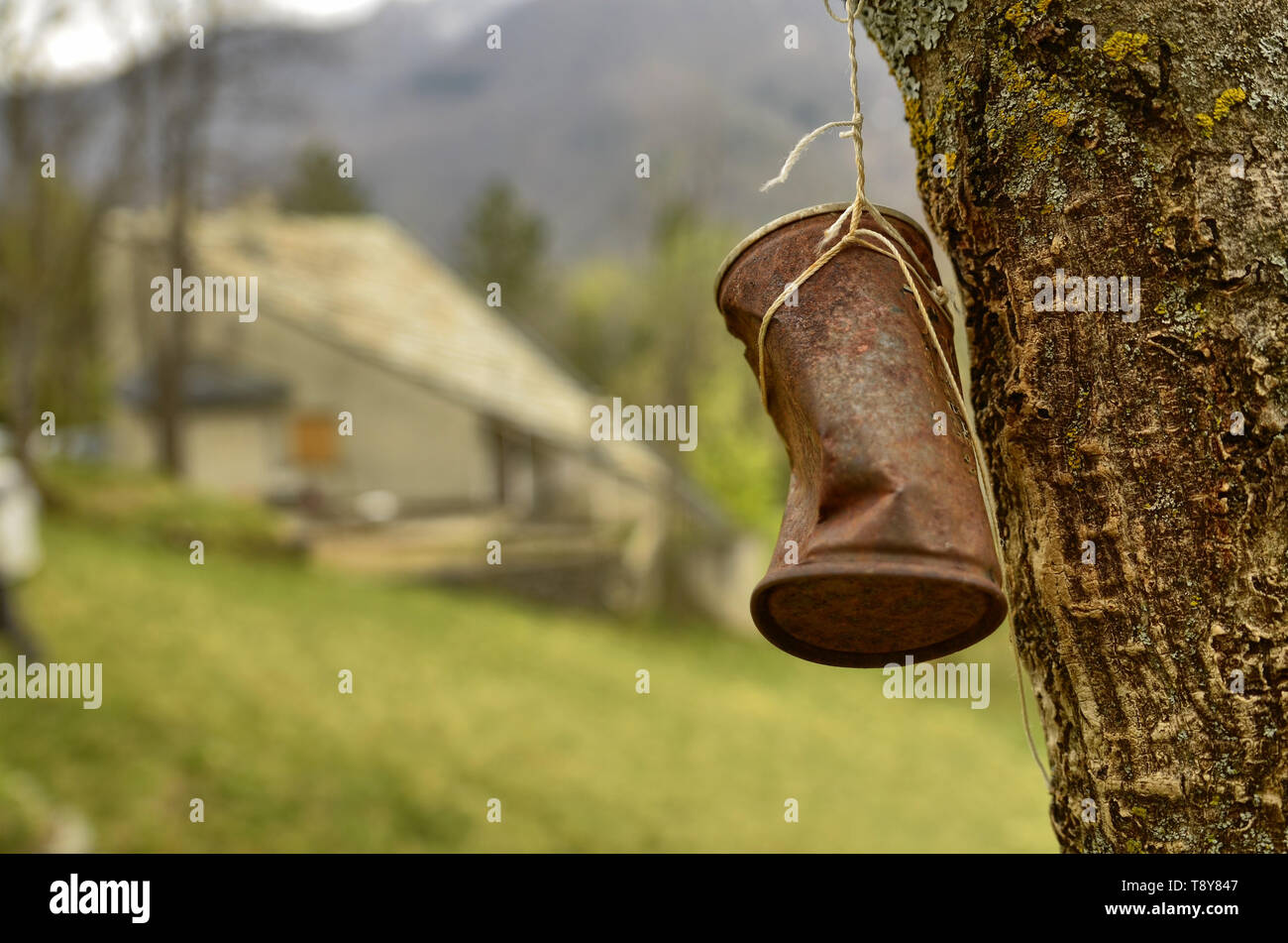 A rusty tin can hanging from a tree for the purpose of alarm. Old and ...