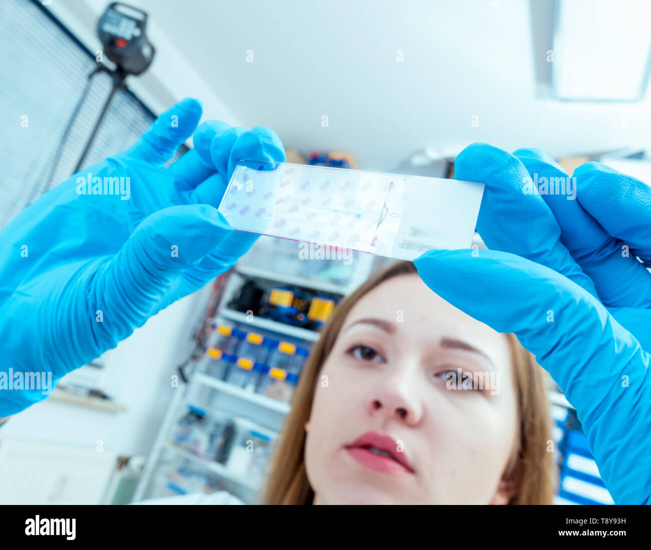 Girl lab technician at the clinic's microbiology laboratory Stock Photo ...