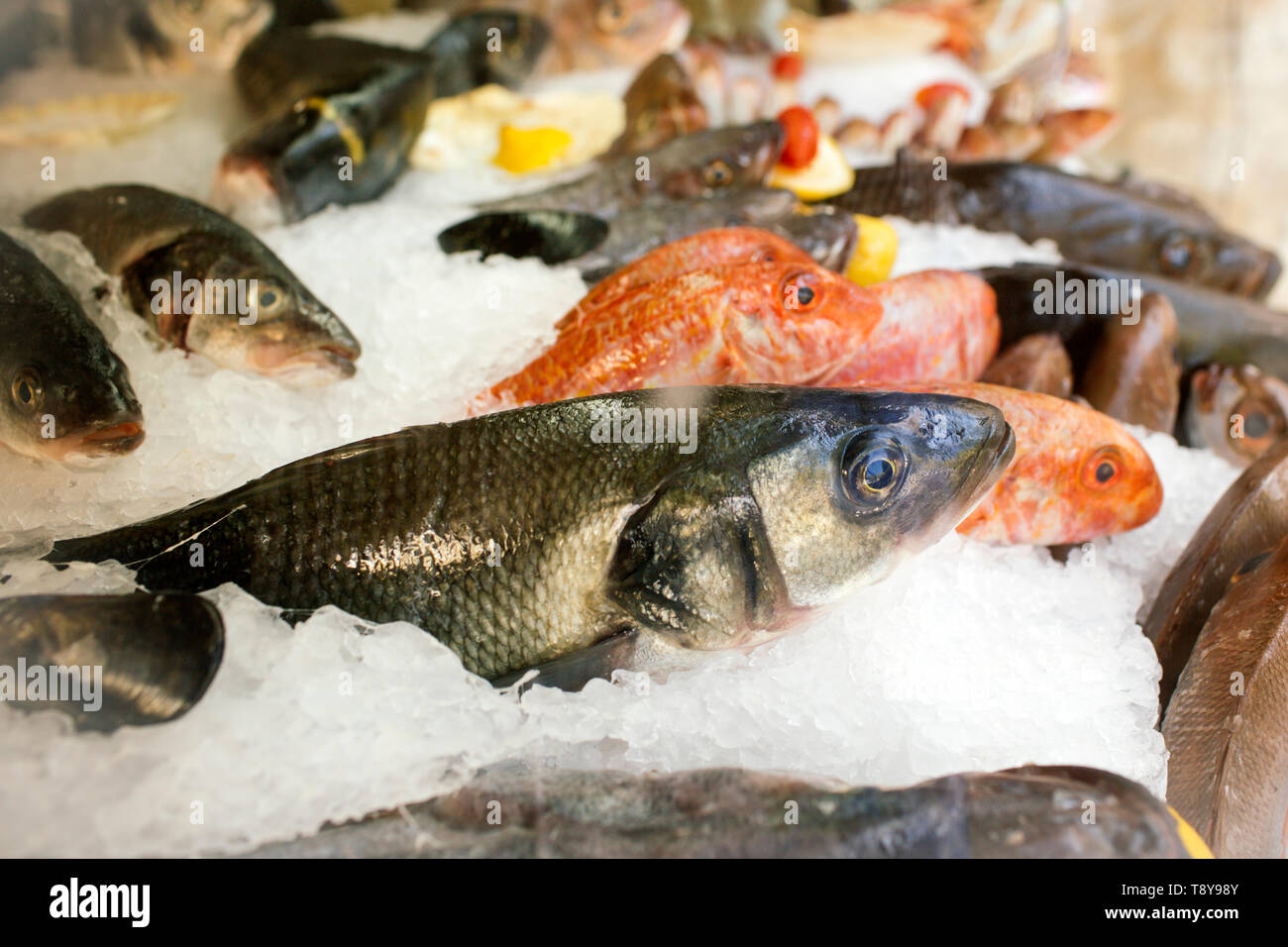 Fresh fish chilled on ice in supermarket. Fish iced for sale. Sea catch ...