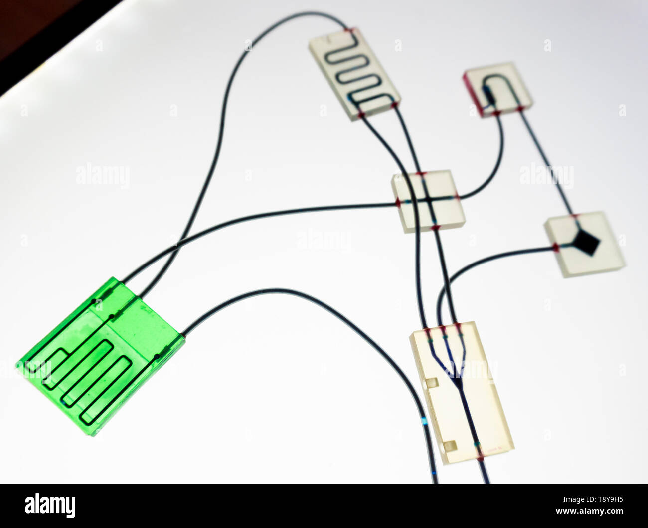Organ-on-a-chip (OOC) - microfluidic device chip that simulates ...