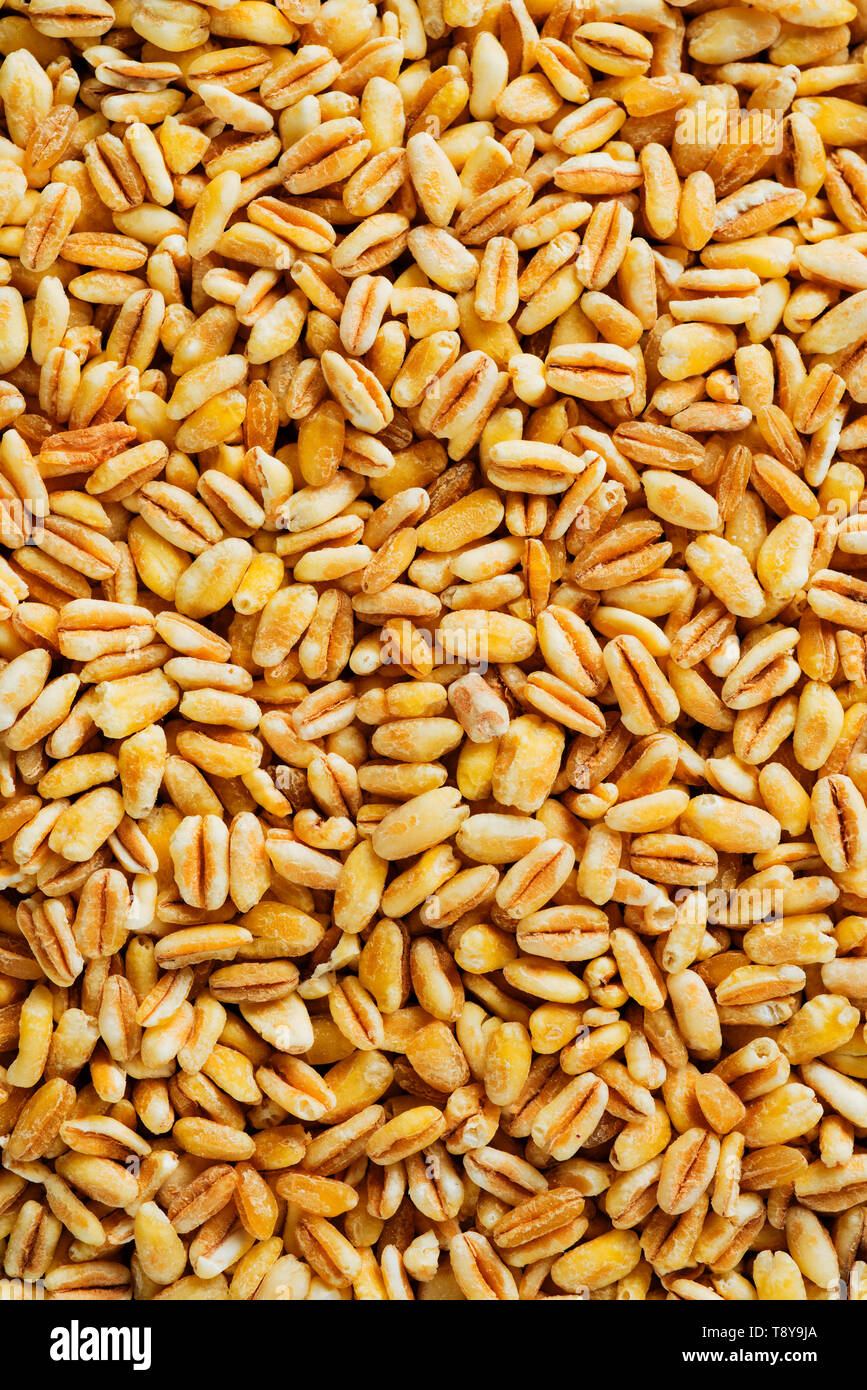 Wheat kernels hi-res stock photography and images - Alamy
