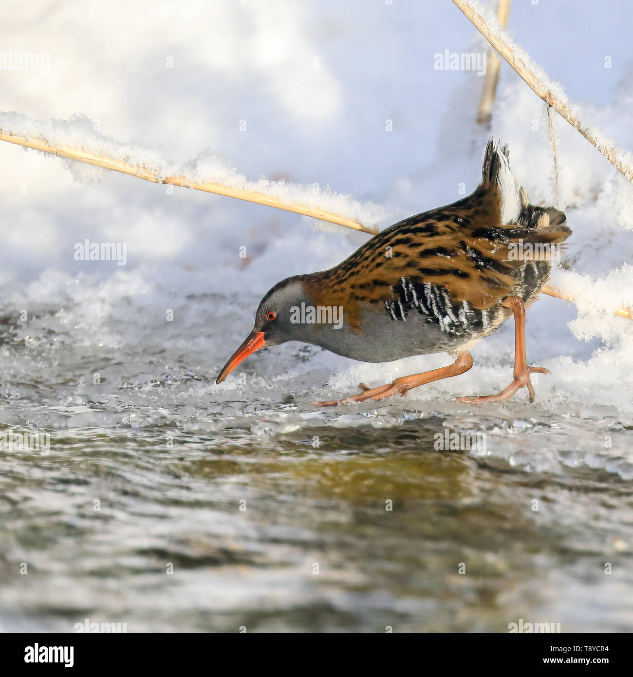 Rail water hi-res stock photography and images - Alamy