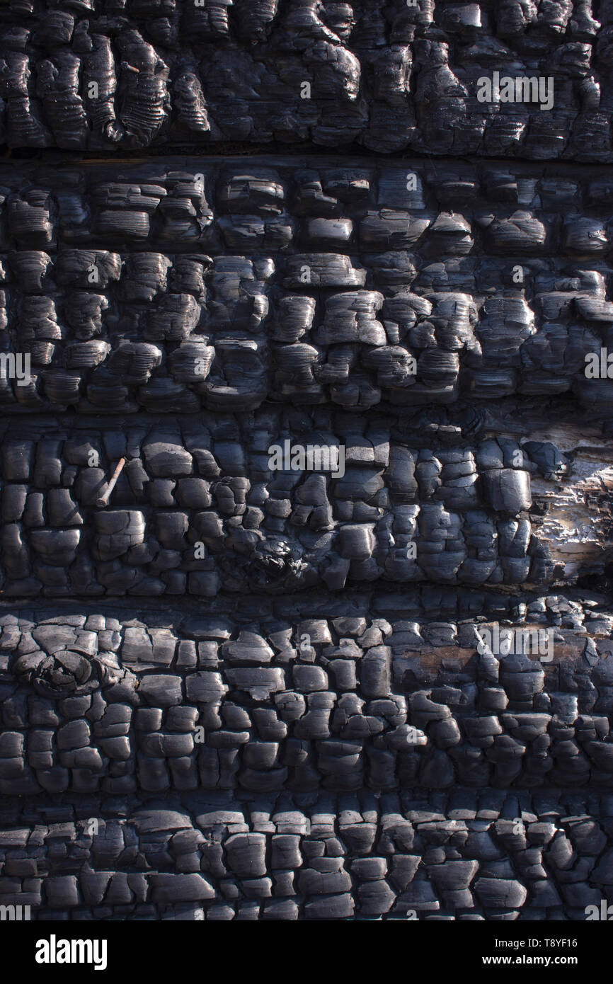 BBQ background. Burnt wooden Board texture. Burned scratched hardwood ...