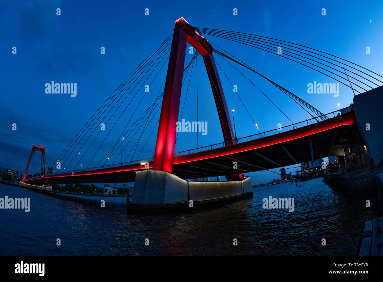 Willemsbrug bridge Rotterdam - cable-stayed bridge by C. Veerling - red ...