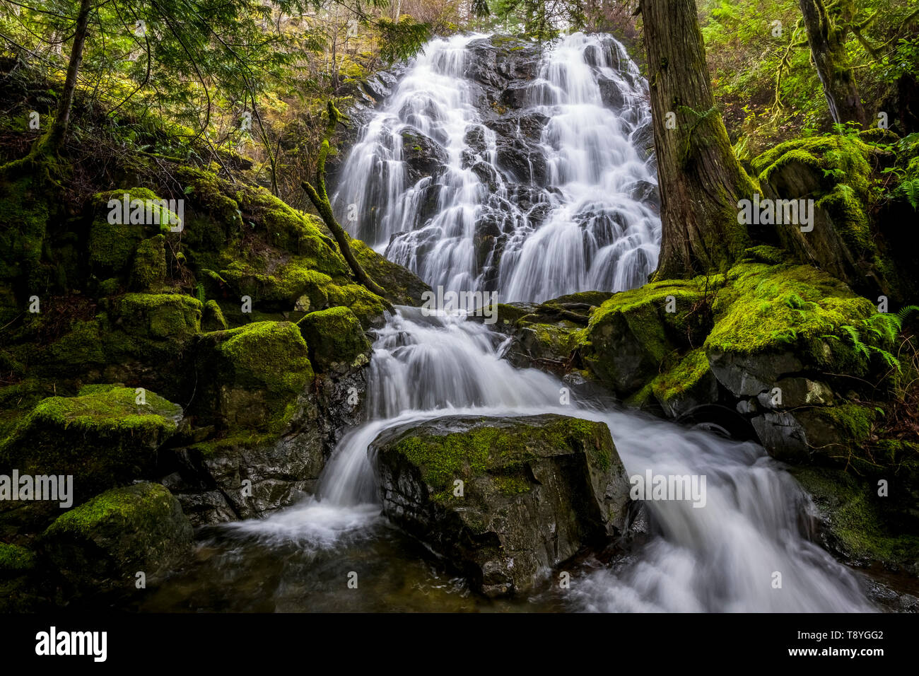 Mary Vine Falls, Sooke Potholes Provincial Park, Sooke, Vancouver ...