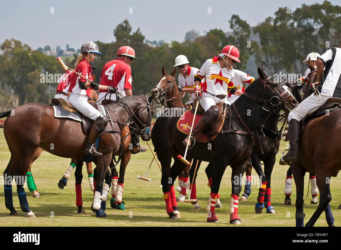 Polo at the polo field in Del Mar Stock Photo - Alamy