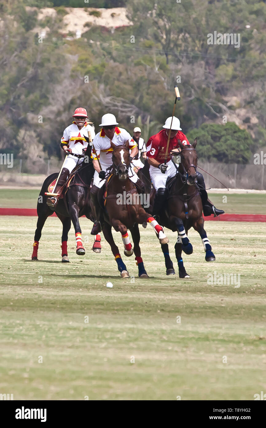 Polo at the polo field in Del Mar Stock Photo - Alamy