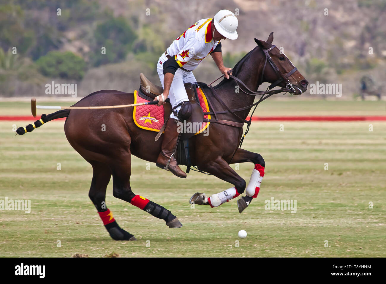 Polo at the polo field in Del Mar Stock Photo - Alamy