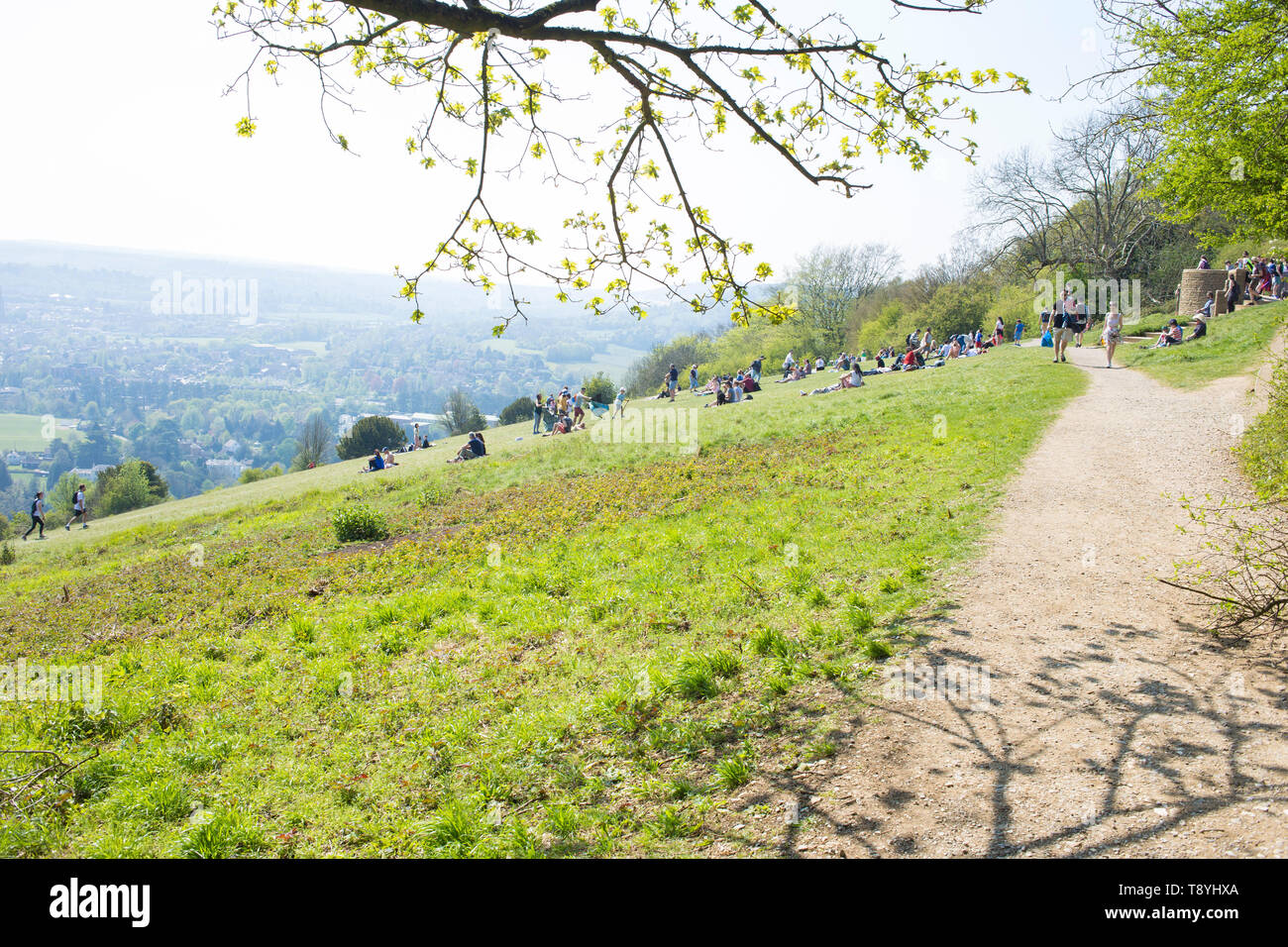 Box hill view hi-res stock photography and images - Alamy