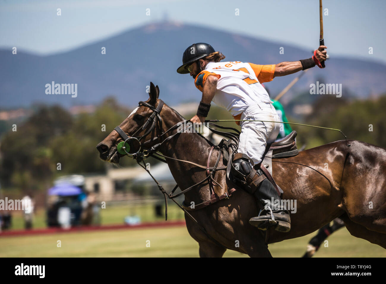 polo players, san diego polo club Stock Photo - Alamy