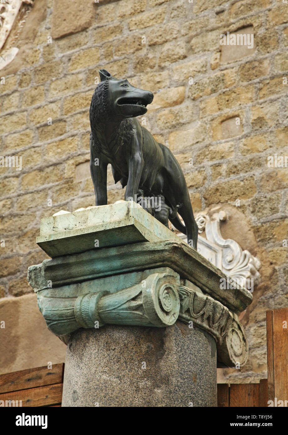 Capitoline Wolf in Rome. Italy Stock Photo - Alamy