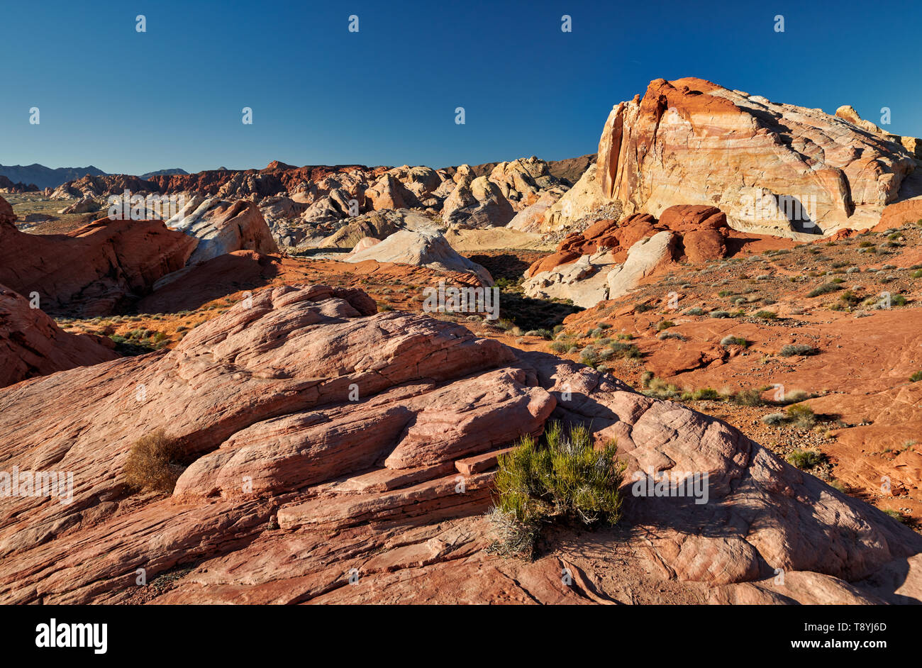 stone structures of Valley of Fire State Park, Nevada, USA, North ...
