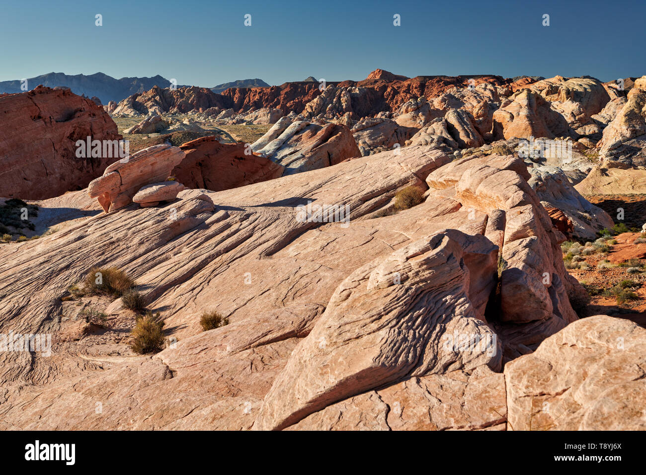 stone structures of Valley of Fire State Park, Nevada, USA, North ...