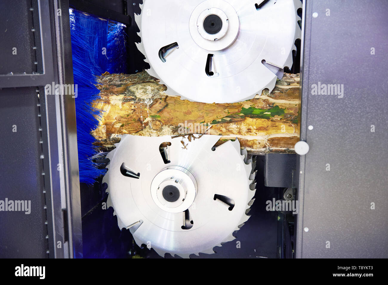 Circular saw cutting wood hi-res stock photography and images - Alamy