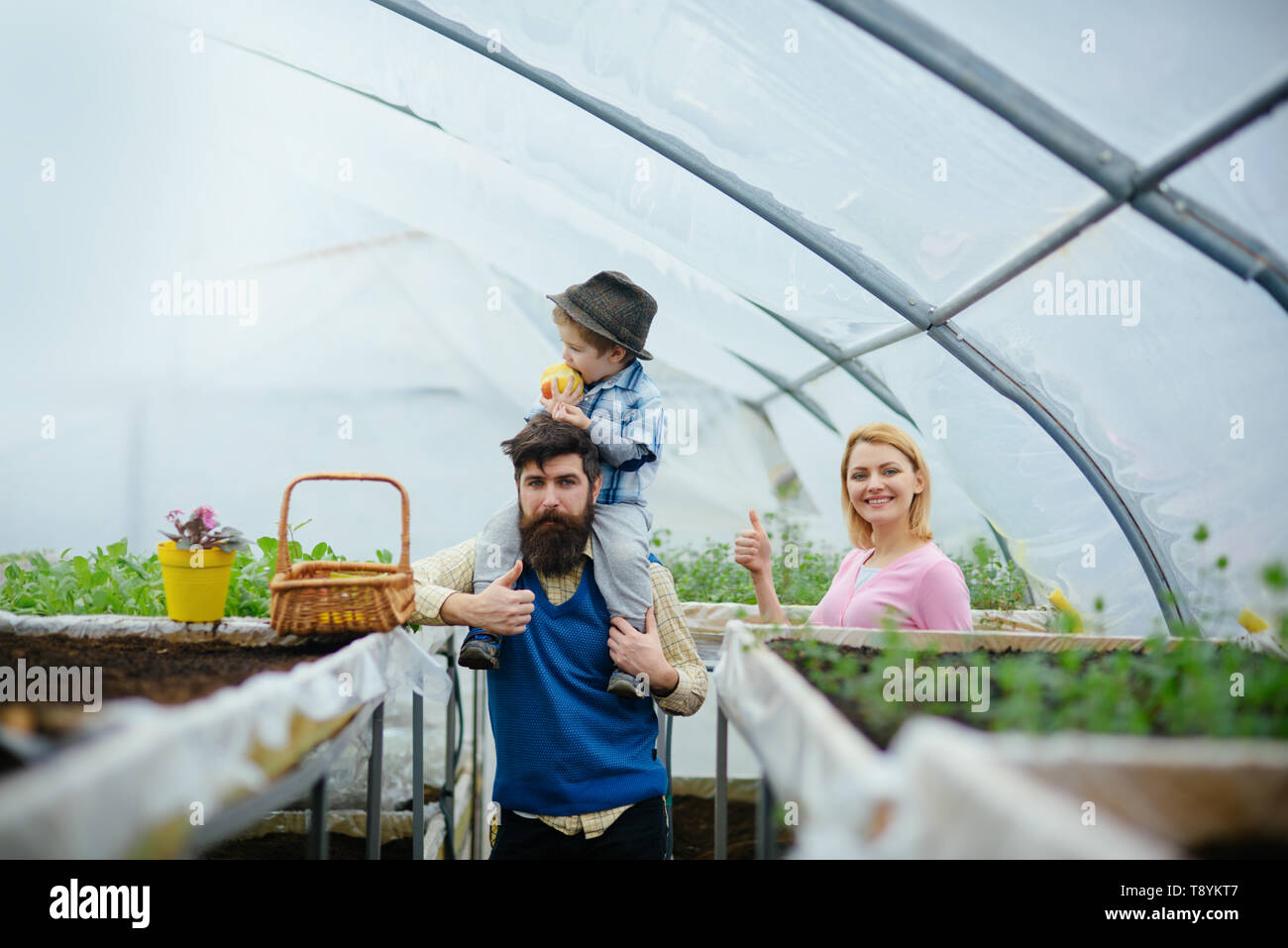 family greenery. family growing greenery for life. family greenery is ...