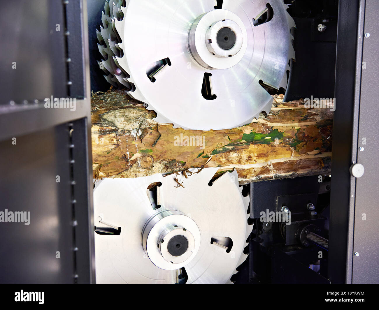 Circular saw blades for big sawing wood machine Stock Photo - Alamy