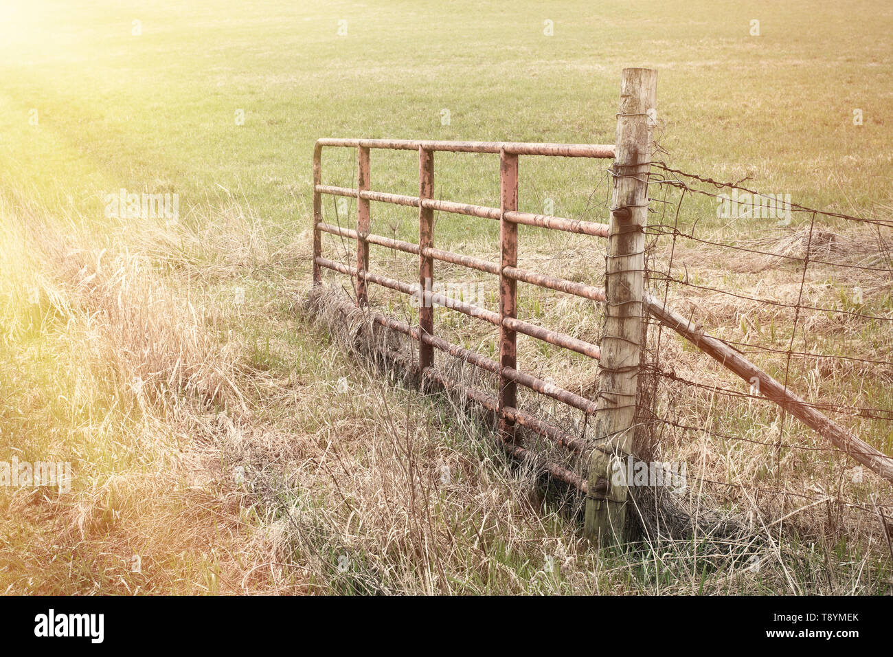 Open pasture gate with sun rays Stock Photo - Alamy